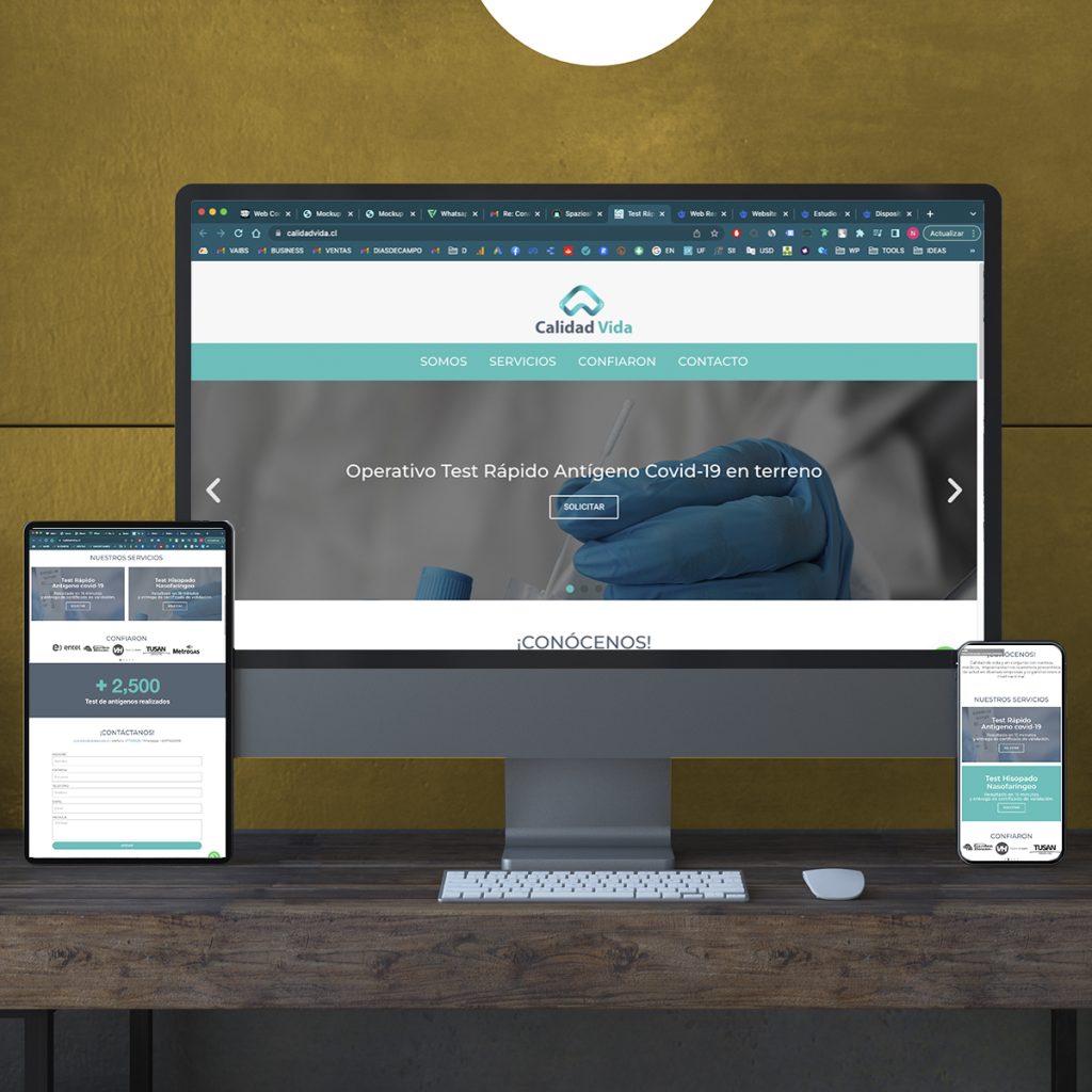Sitios Web Corporativos – VAIBS! – Agencia web y Marketing Digital